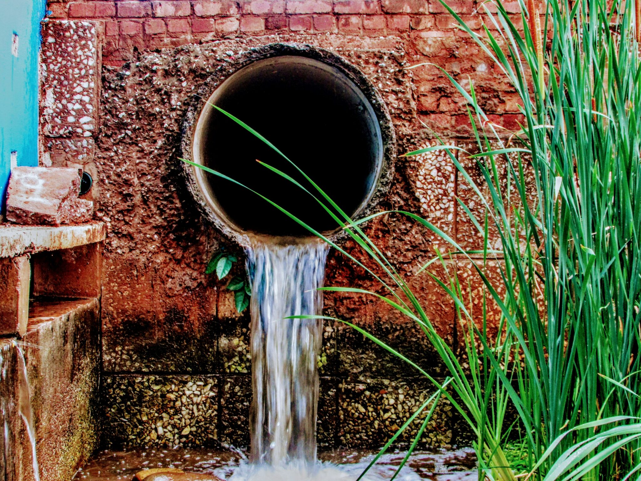 Rainwater Harvesting Laws by State (2026) — What's Legal & How to Start
